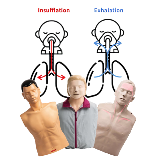 Is CPR ventilation training broken? The Role of VFDs - EOlife X